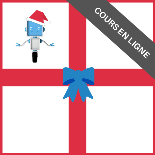 Stage privé (5 x 1h) min 2 pers. | Fun Tech Adventures